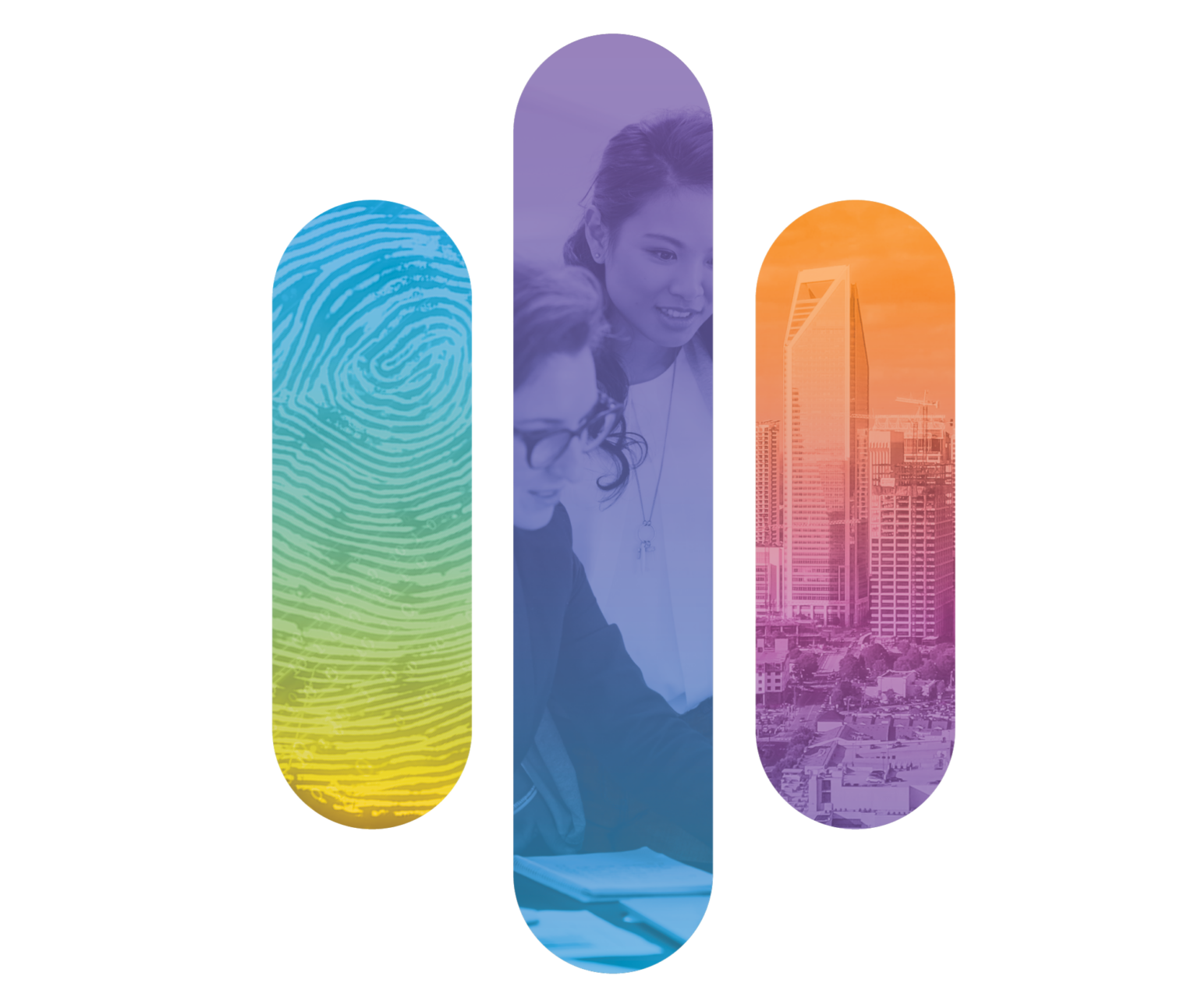 Home | Datos Insights - Datos Insights